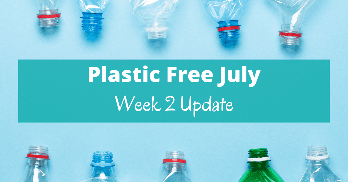 Plastic Free July Challenge - Week 2 Update - Boomer Eco Crusader