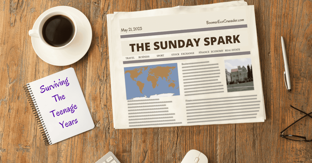 The Sunday Spark - Surviving the teenage years - I did it! - Boomer Eco ...