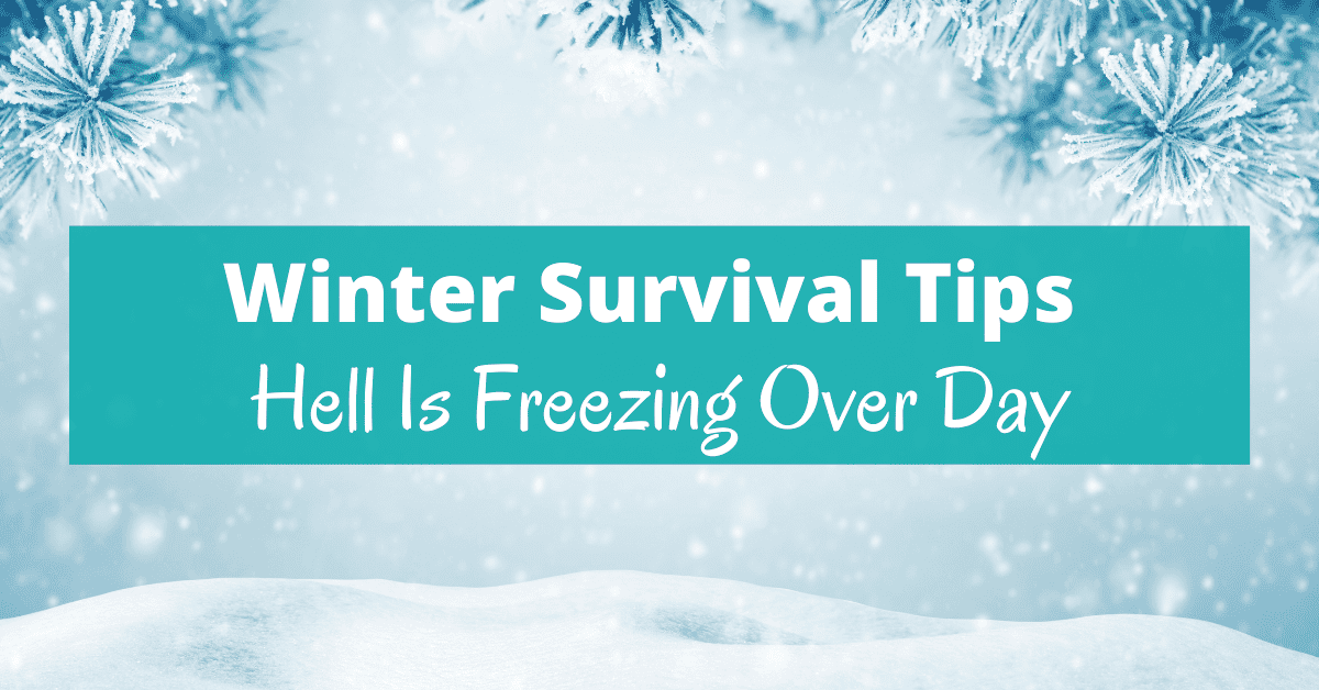 Winter survival tips to help you get through February - Boomer Eco Crusader